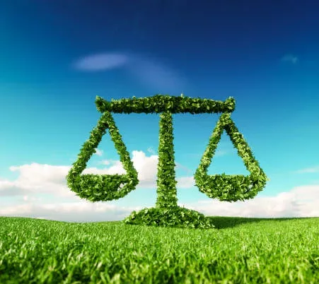 The CMA’s Green Agreements Guidance and its Impact on Sustainability ...